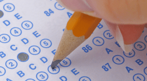 What Is the Birkman Method and How Can It Help You? | Terry Hildebrandt ...